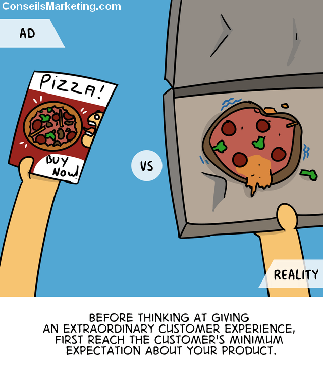 The Customer Experience Cartoon - English version