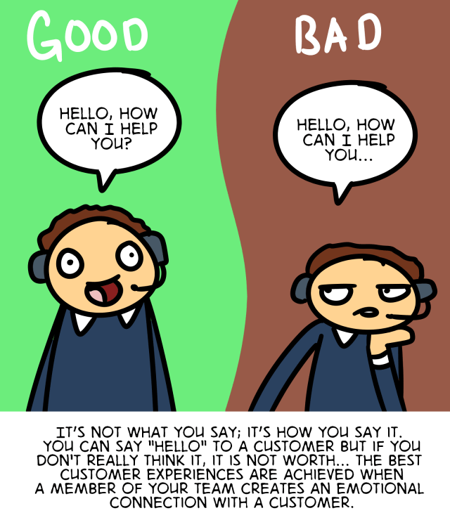 The Customer Experience Cartoon - English version
