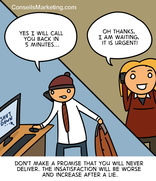 The Customer Experience Cartoon - English version