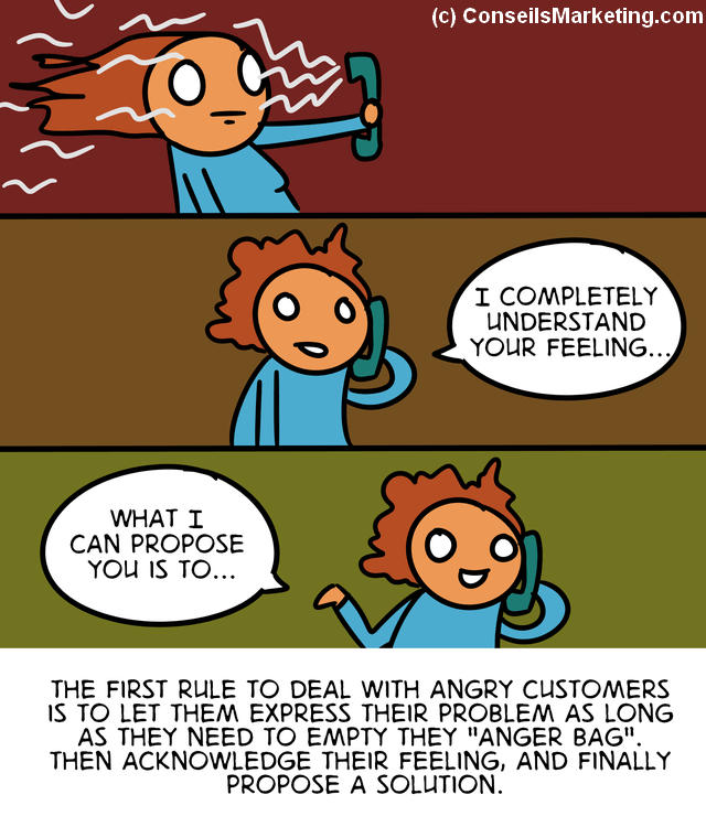 The Customer Experience Cartoon - English version